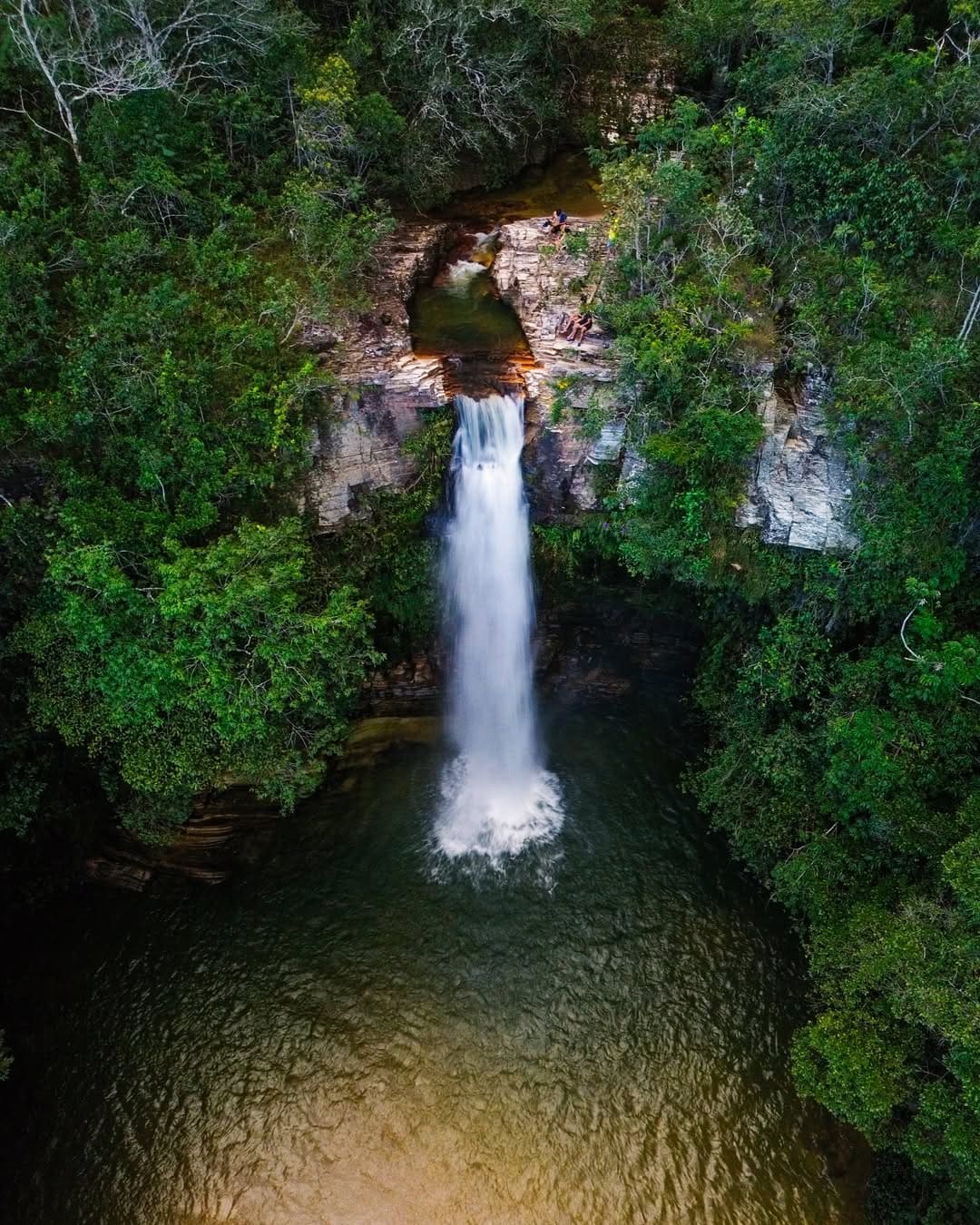 O sabor do Cerrado no seu prato: conheça a gueroba