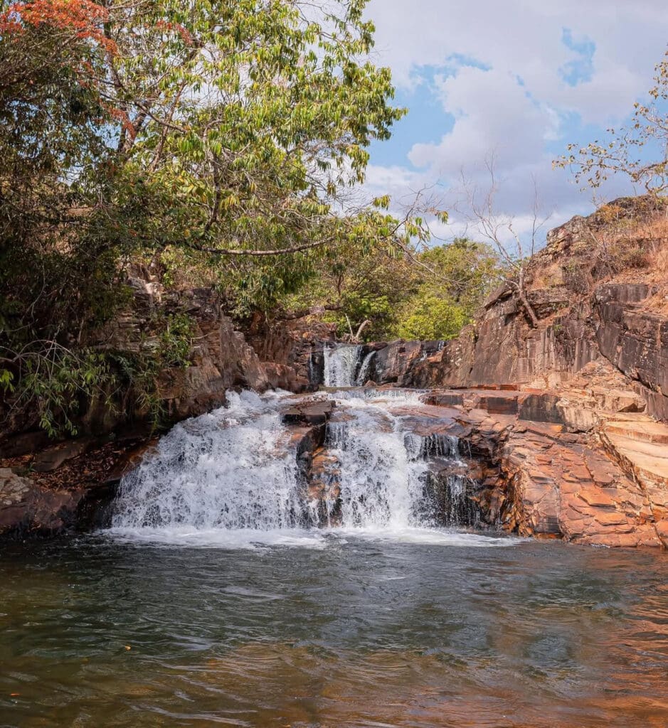 O sabor do Cerrado no seu prato: conheça a gueroba